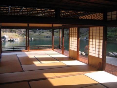 DISCOVERIES - PHYRE DOJO